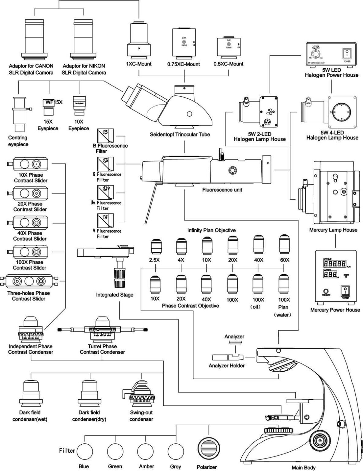 BK6000 Series Biological Microscope General Layout Diagram - Vital ...